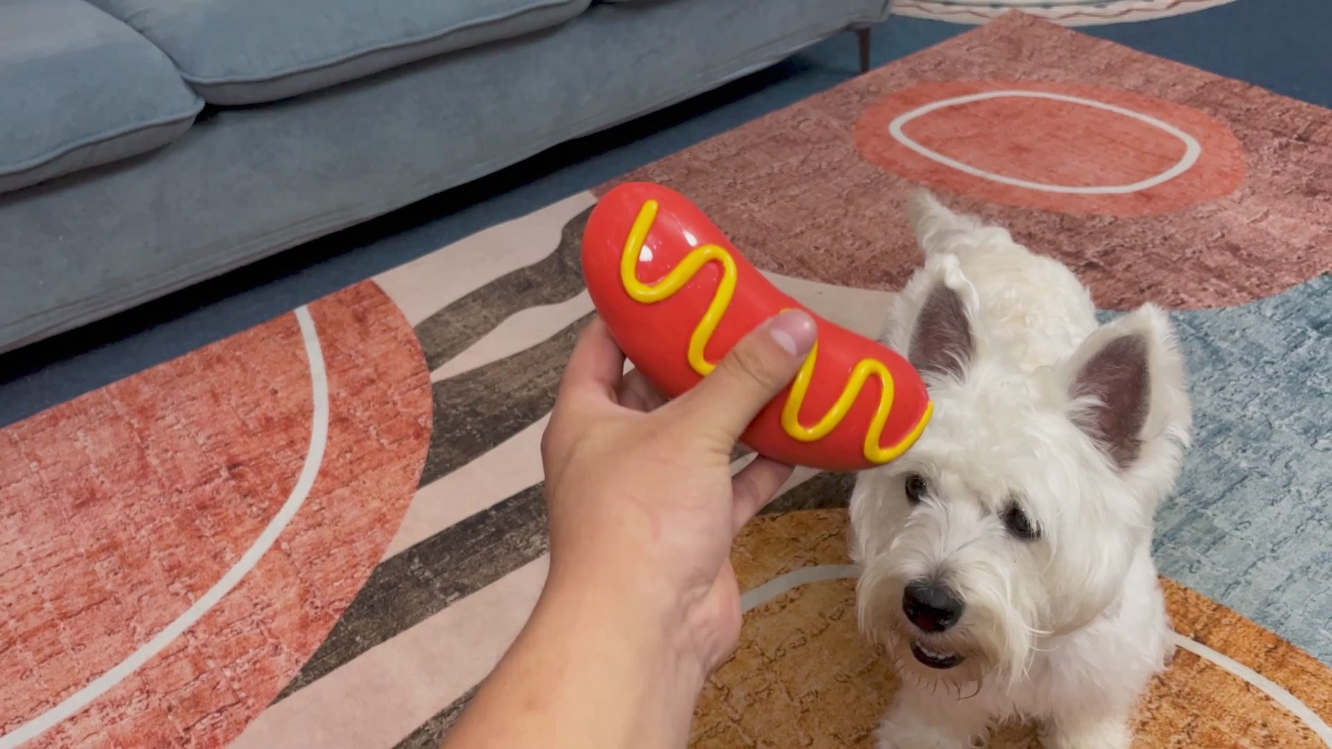 Squeaky Sausage Dog Toy – Rich Meow